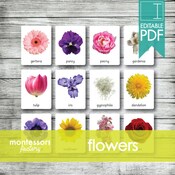 Types of Volcanoes Nomenclature / 3-part Cards / Montessori - Etsy Canada