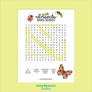 INSECTOS Sopa de letras Juegos para imprimir - Etsy México