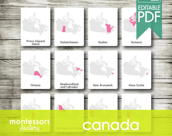 WORLD CONTINENTS • Montessori Cards • Flash Cards • Three Part Cards ...