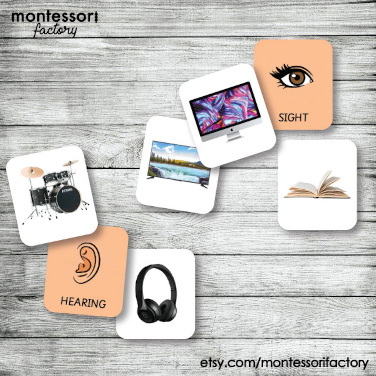 FIVE SENSES Montessori Cards Flash Cards Sorting Cards | Etsy