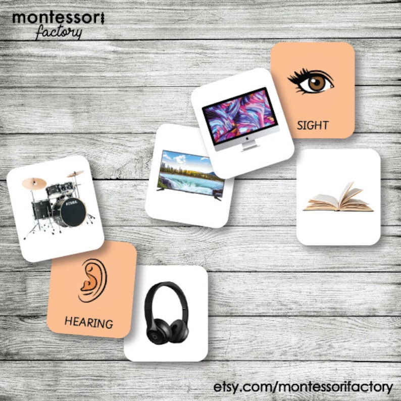 Montessori Five Senses Flash Cards, Educational Material (editable PDF ...