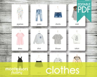 Seashells Flash Cards. Montessori Three Part Cards. - Etsy