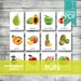 FRUITS real Pictures Montessori Cards Flash Cards | Etsy Australia