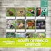 South America Animals Montessori Nomenclature Cards (editable PDF) - Etsy