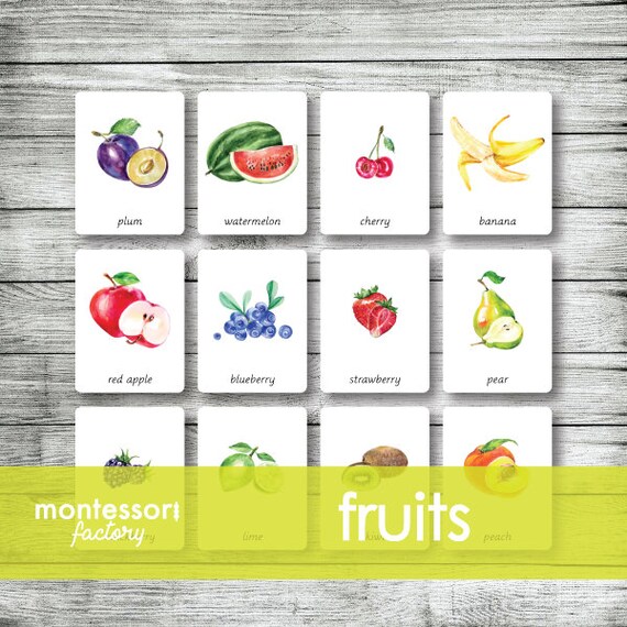 FRUITS Montessori Cards Flash Cards Three Part Cards | Etsy