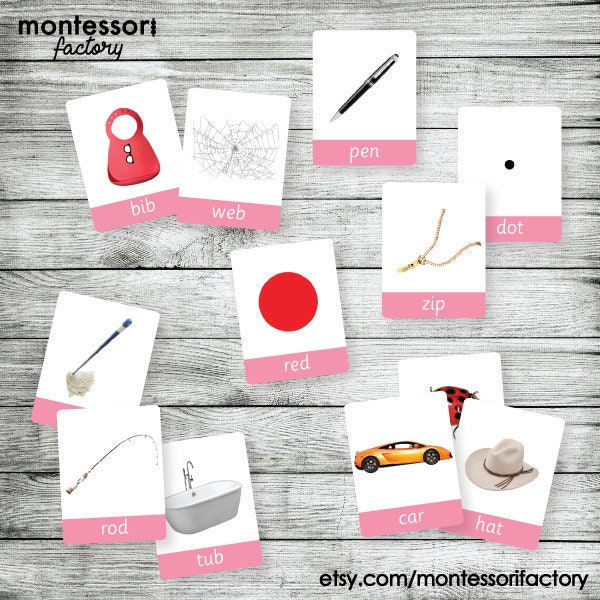 Montessori Pink Series 3-part Cards • Educational Material (editable ...