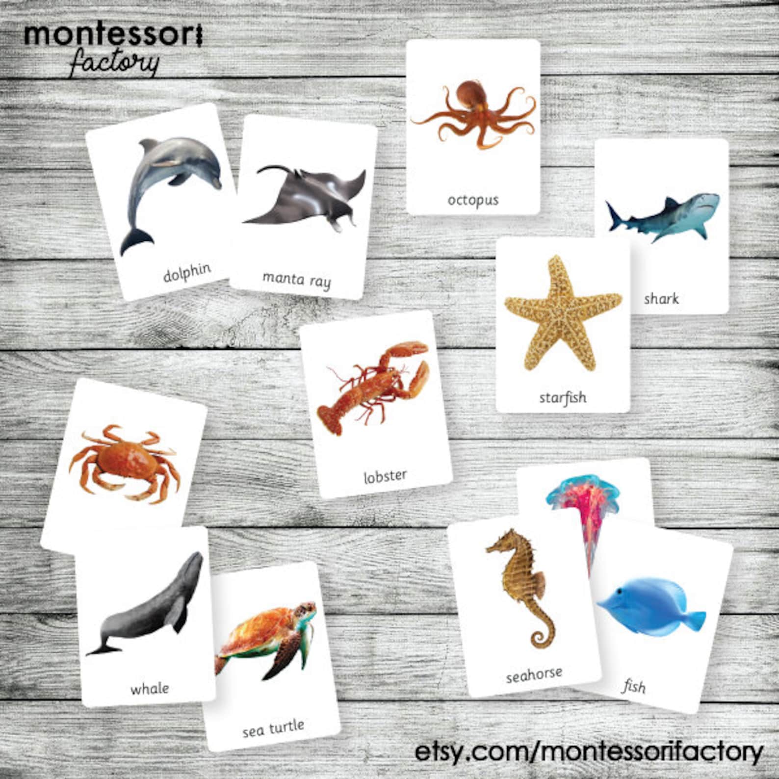 SEA OCEAN Montessori Cards Flash Cards Three Part Cards - Etsy UK