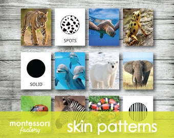 MONEY Montessori Nomenclature Flash 3 Parts Cards | Etsy