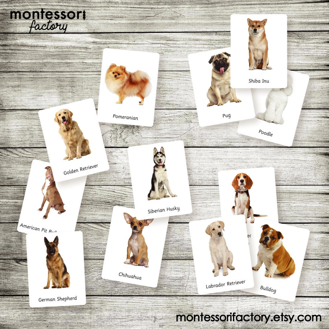 DOG BREEDS Montessori Cards Flash Cards Three Part Cards - Etsy
