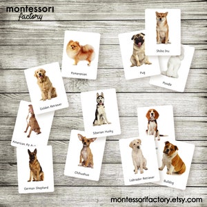 Dog Breeds Montessori Nomenclature Cards • Educational PDF (editable ...