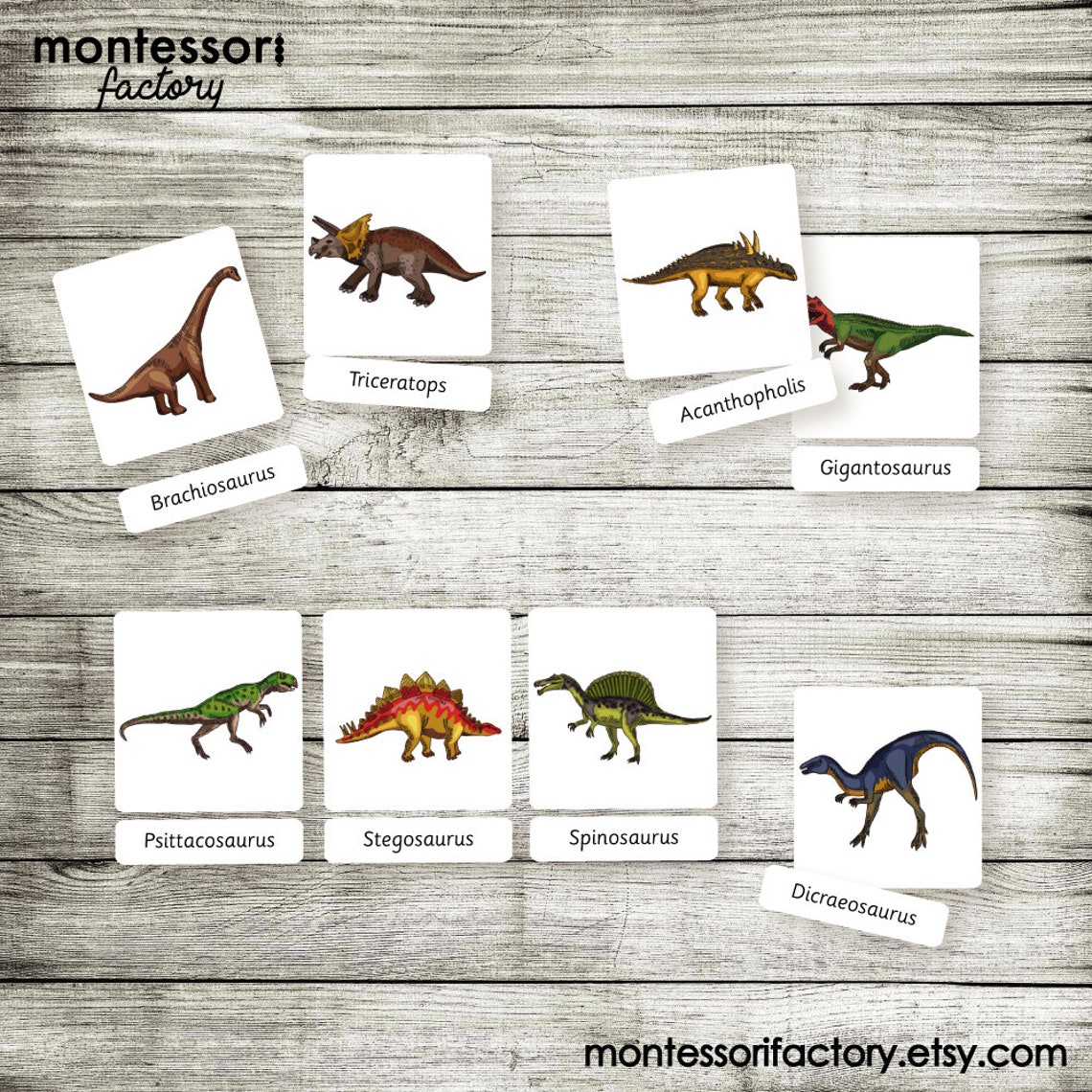DINOSAURS • Montessori Cards • Flash Cards • Three Part Cards ...