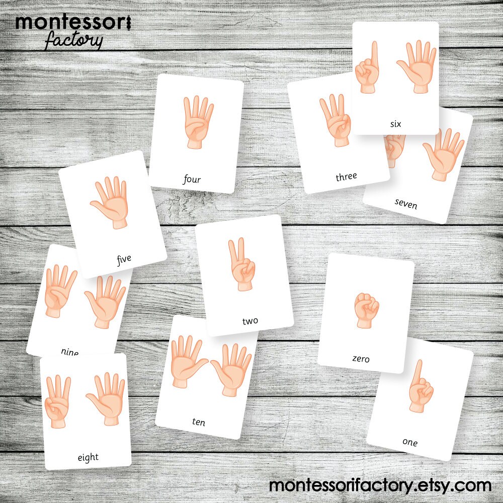 HAND COUNTING 0 to 10 Montessori Cards Flash Cards Three - Etsy