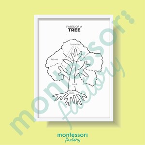 PARTS of a TREE Science Kids Room Wall Art Decor Montessori ...