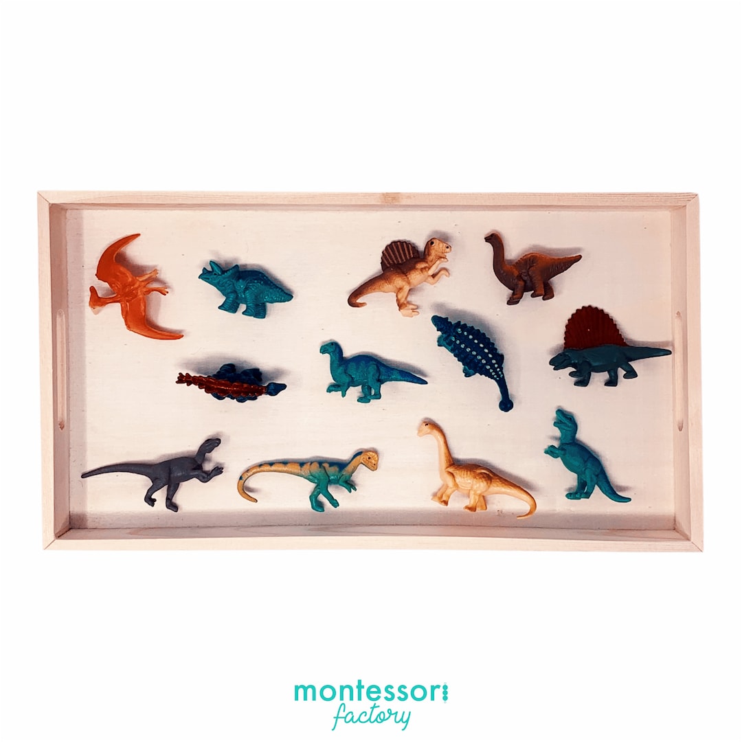 DINOSAURS ANIMALS • TOOB Figurines Set • Montessori Toy • Sensory Bin ...