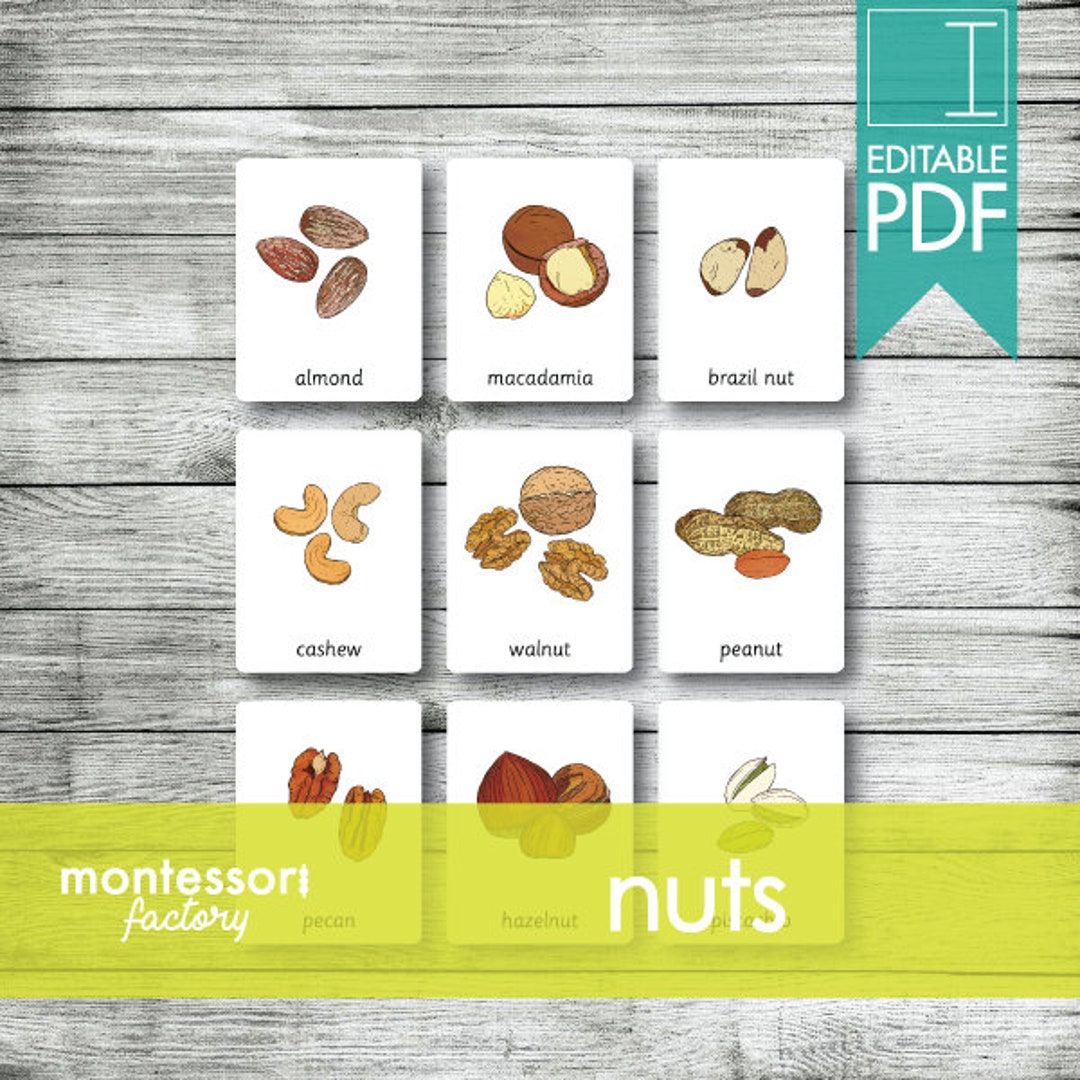 NUTS Montessori Cards, Flash Cards, Three Part Cards, Nomenclature ...