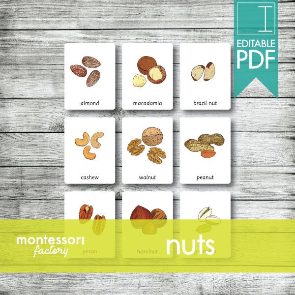 Montessori Nuts Nomenclature Cards, Educational Material (editable PDF ...