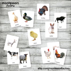 FARM ANIMALS • Montessori Cards • Flash Cards • Three Part Cards ...
