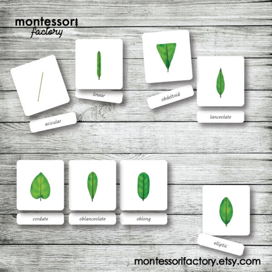 LEAF SHAPES Montessori Cards Flash Cards Three Part | Etsy