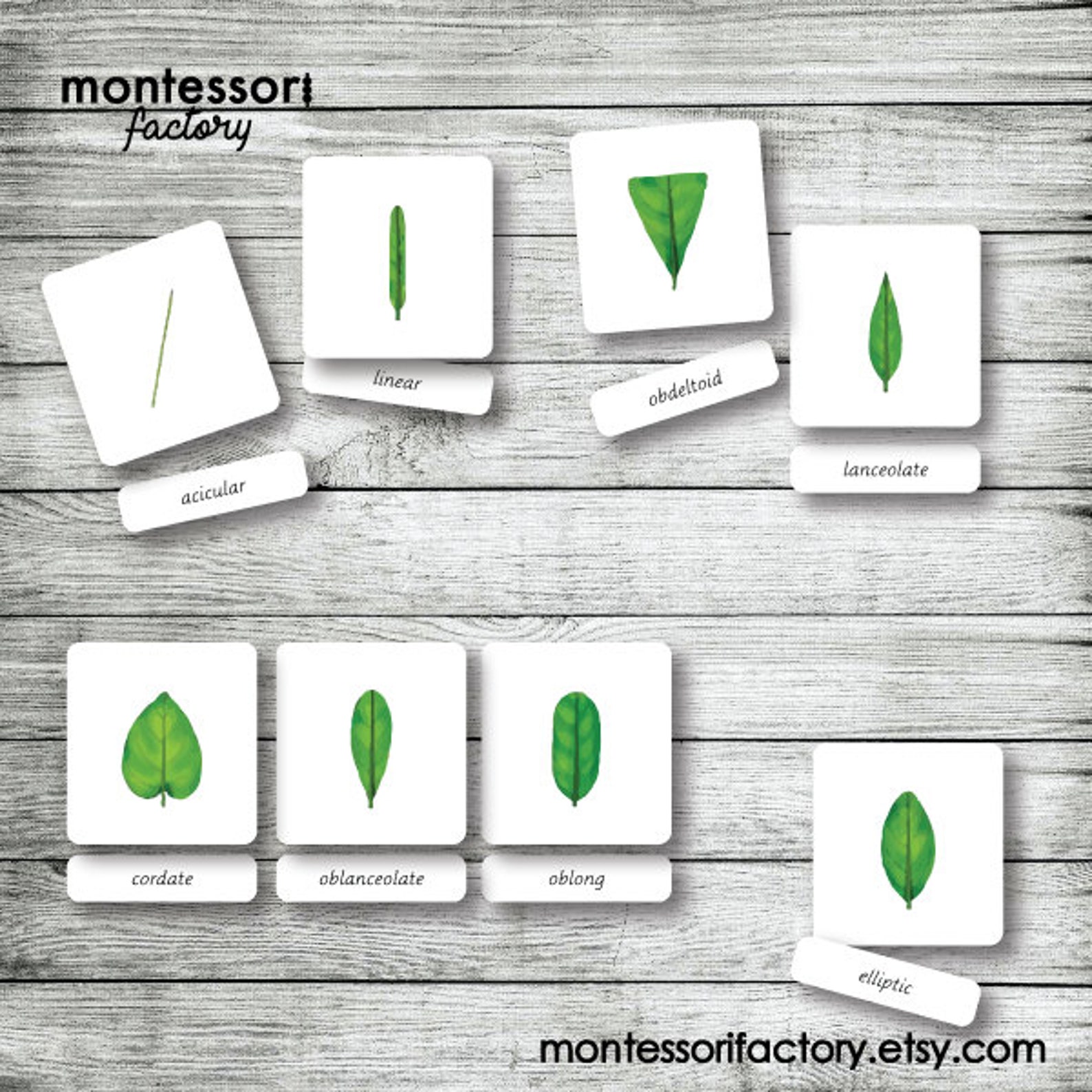LEAF SHAPES Montessori Cards Flash Cards Three Part | Etsy