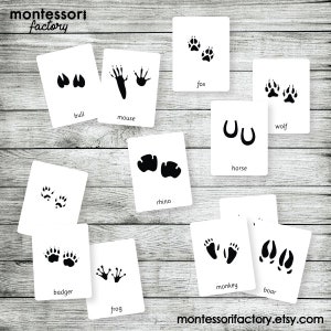 ANIMAL TRACKS • Montessori Nomenclature - Flash - 3 Parts Cards ...