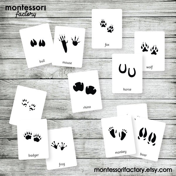 ANIMAL TRACKS Montessori Nomenclature Flash 3 Parts - Etsy