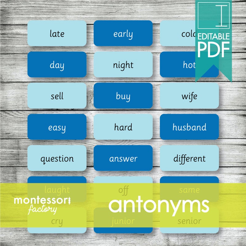Montessori Grammar - Etsy
