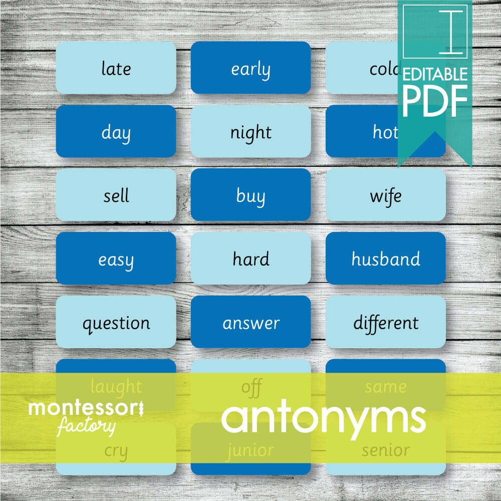 ANTONYMS Montessori Cards Flash Cards Sorting Cards | Etsy
