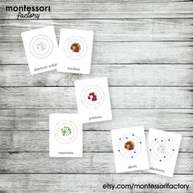 ATOM PARTS Montessori Cards Flash Cards Three Part Cards | Etsy