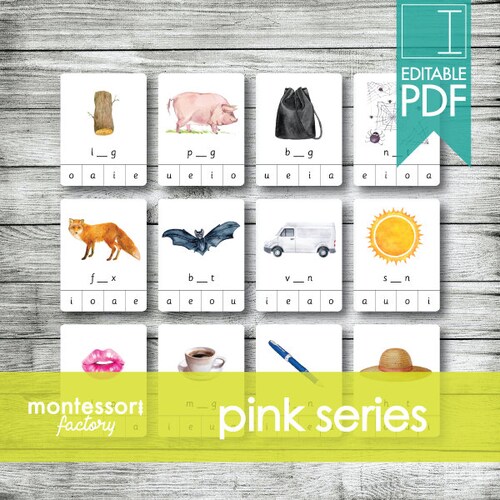 PINK SERIES Montessori Clip Cards Beginning Letter Flash - Etsy