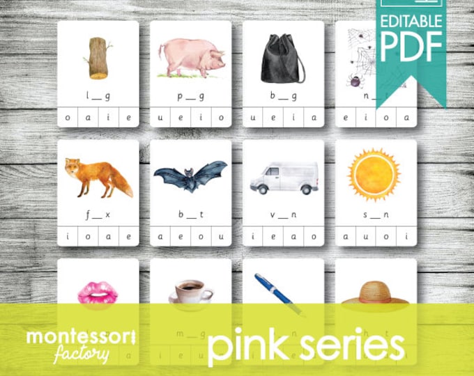 COUNTING INSECTS BUGS Numbers 1 to 20 • Montessori Counting Cards ...