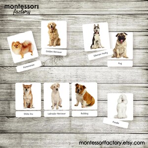 DOG BREEDS ⦿ Montessori Cards • Flash Cards • Three Part Cards ...