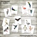 BIRDS ANIMALS Montessori Cards Flash Cards Three Part Cards ...