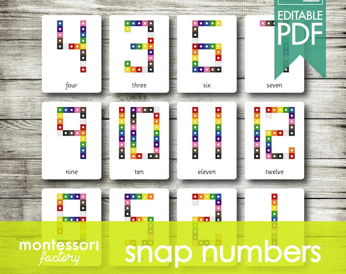 WORLD CONTINENTS • Montessori Cards • Flash Cards • Three Part Cards ...