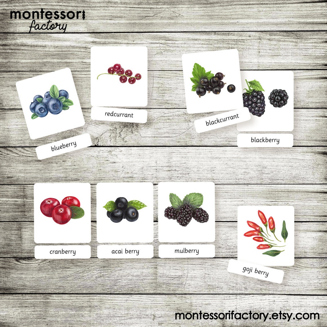 BERRIES Montessori Cards Flash Cards Three Part Cards - Etsy