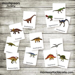 DINOSAURS • Montessori Cards • Flash Cards • Three Part Cards ...