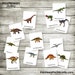 DINOSAURS Montessori Cards Flash Cards Three Part Cards Nomenclature ...