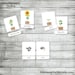 SUNFLOWER LIFE CYCLE • Montessori Cards • Flash Cards • Educational ...