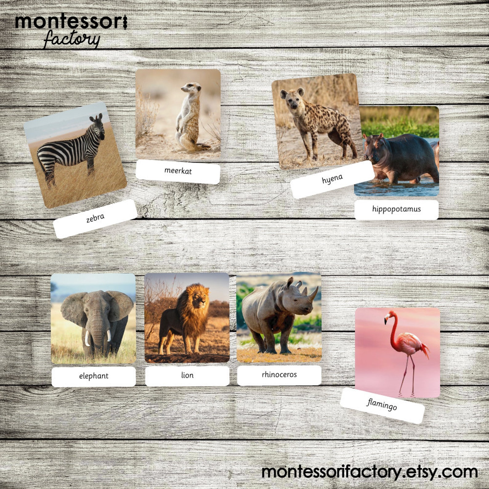 AFRICA ANIMALS Montessori Cards Flash Cards Three Part - Etsy