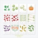 COUNTING SHELLS Numbers 1 to 20 Montessori Counting Cards Clip Cards ...
