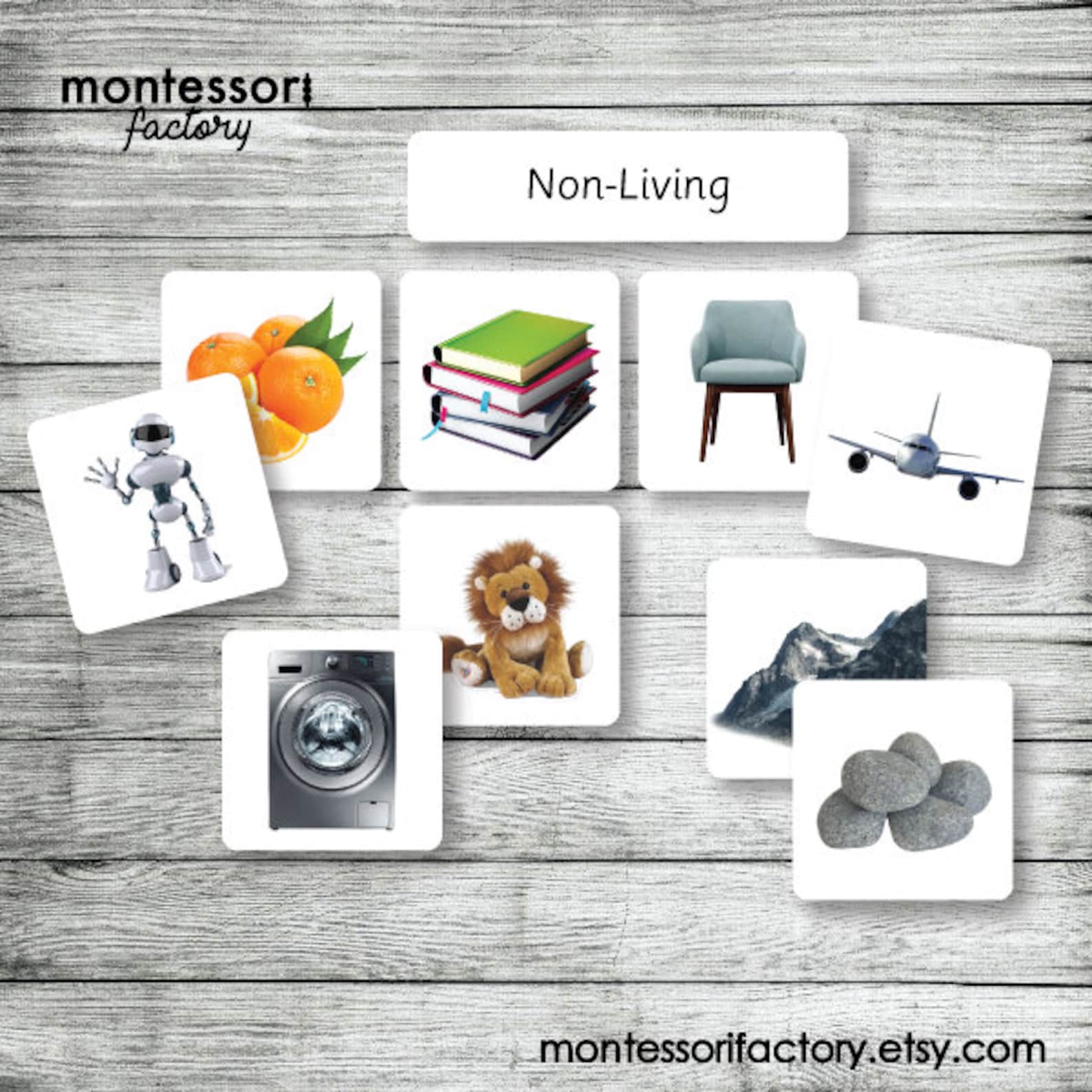 LIVING or NONLIVING real Pictures Montessori Cards Flash | Etsy