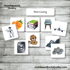 LIVING or NONLIVING (real Pictures) Montessori Cards, Flash Cards ...