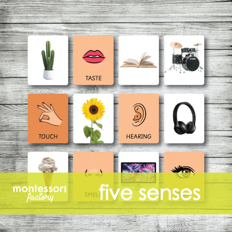 Montessori Five Senses Flash Cards, Educational Material (editable PDF ...