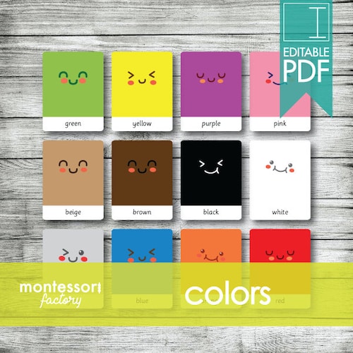 Color Matching Star Colors Printable File Folder Game PDF | Etsy