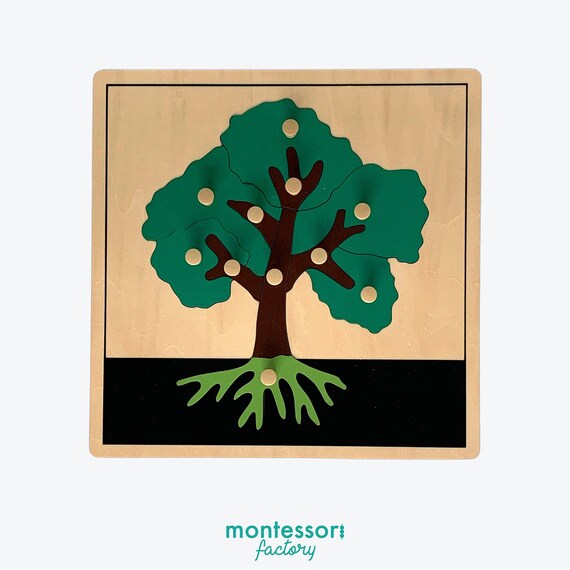 PARTS of a TREE Montessori Wood Puzzle Biology Botany | Etsy