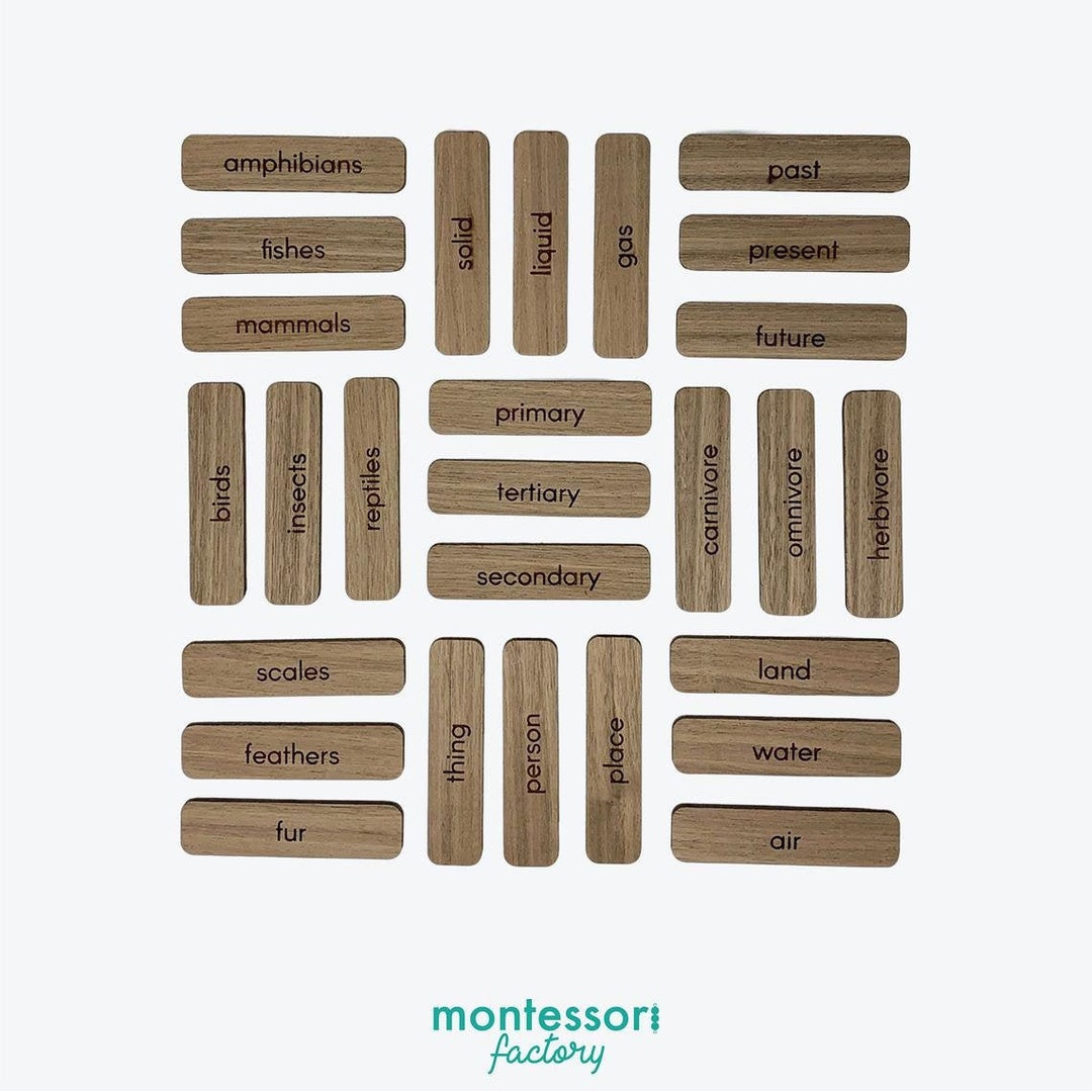 Wooden Sorting Tray Labels • Educational Toy Categories - Etsy