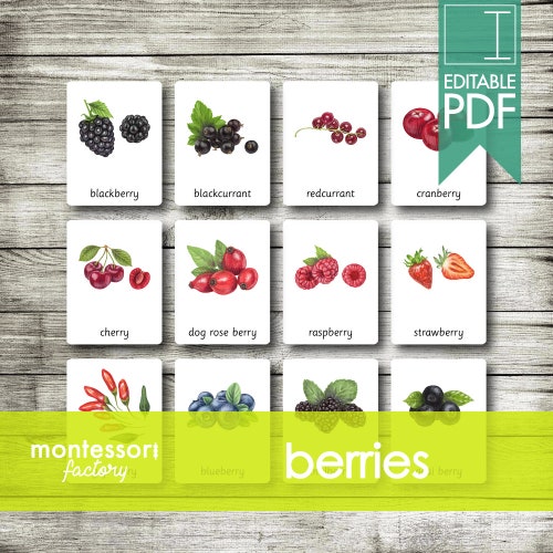 BERRIES Montessori Cards Flash Cards Three Part Cards - Etsy