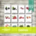 BERRIES Montessori Cards Flash Cards Three Part Cards Nomenclature ...