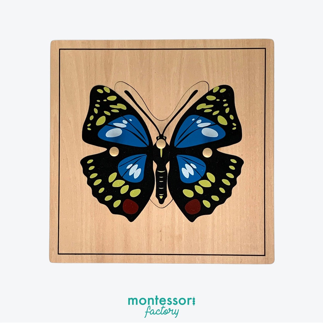 PARTS of a BUTTERFLY • Montessori Wood Puzzle • Biology • Insects ...