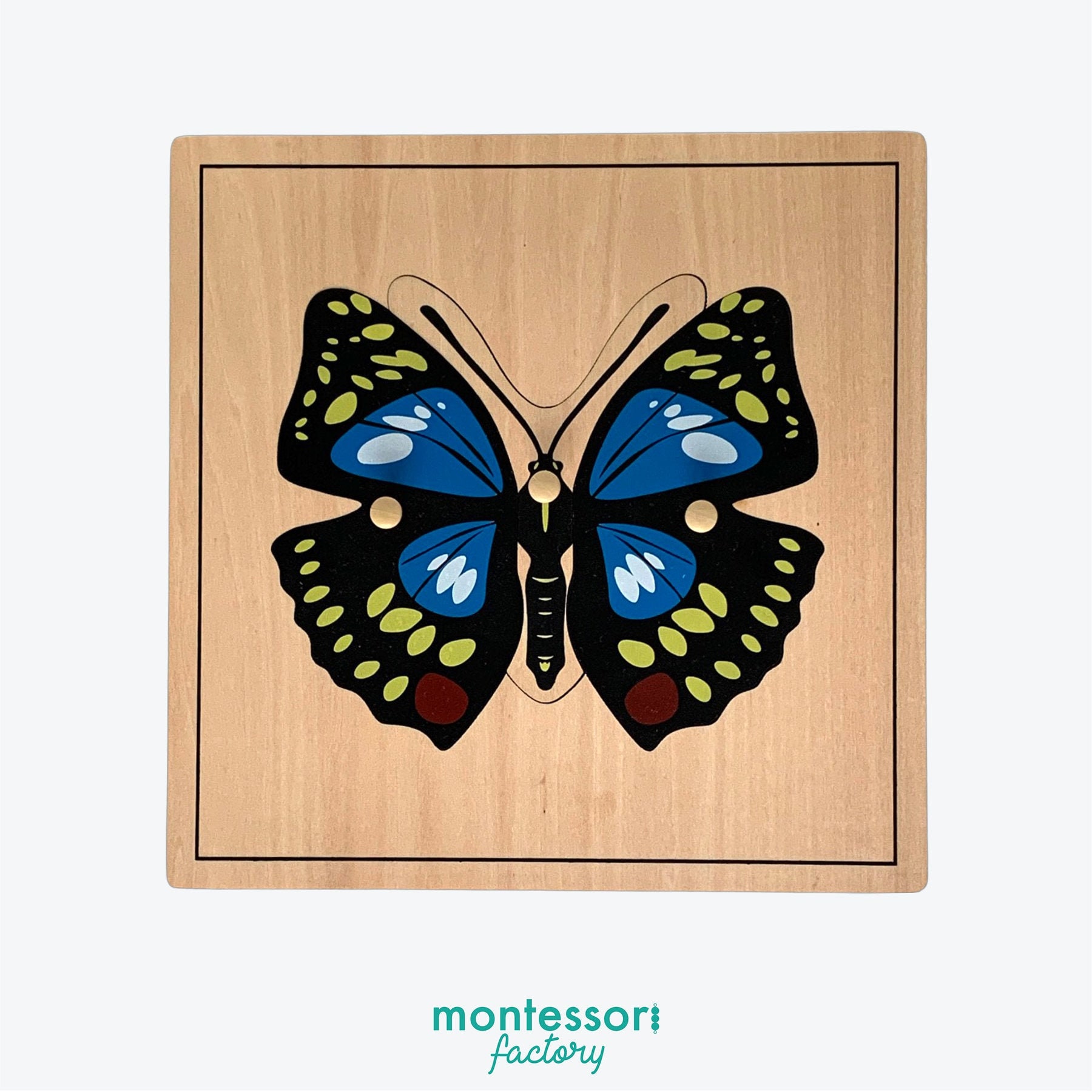 PARTS of a BUTTERFLY Montessori Wood Puzzle Biology - Etsy