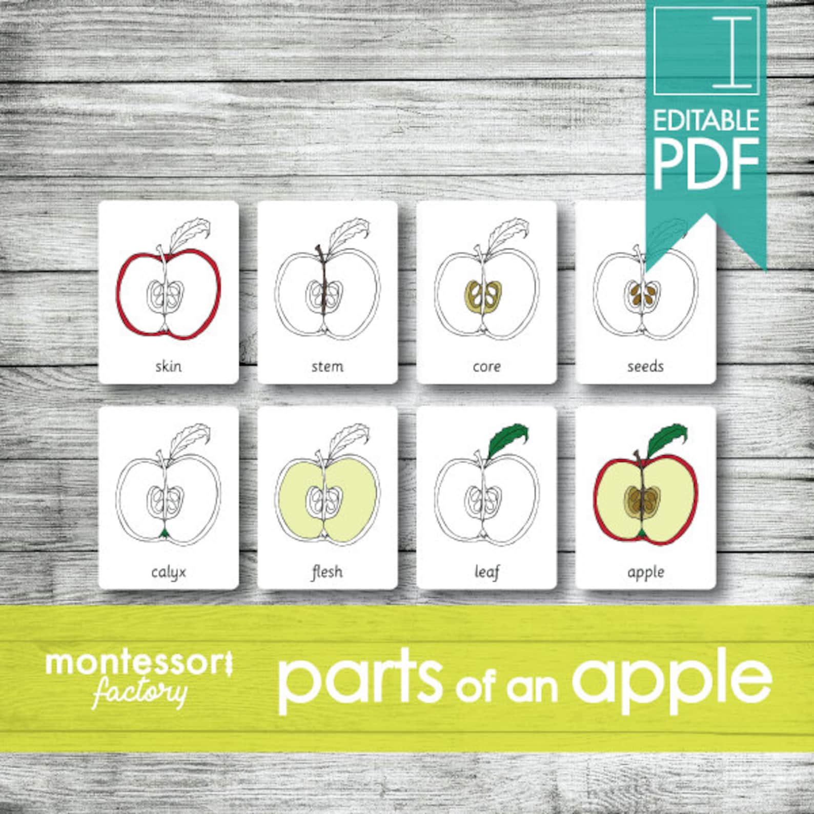 Tarjetas de nomenclatura Montessori sobre las partes de una manzana ...